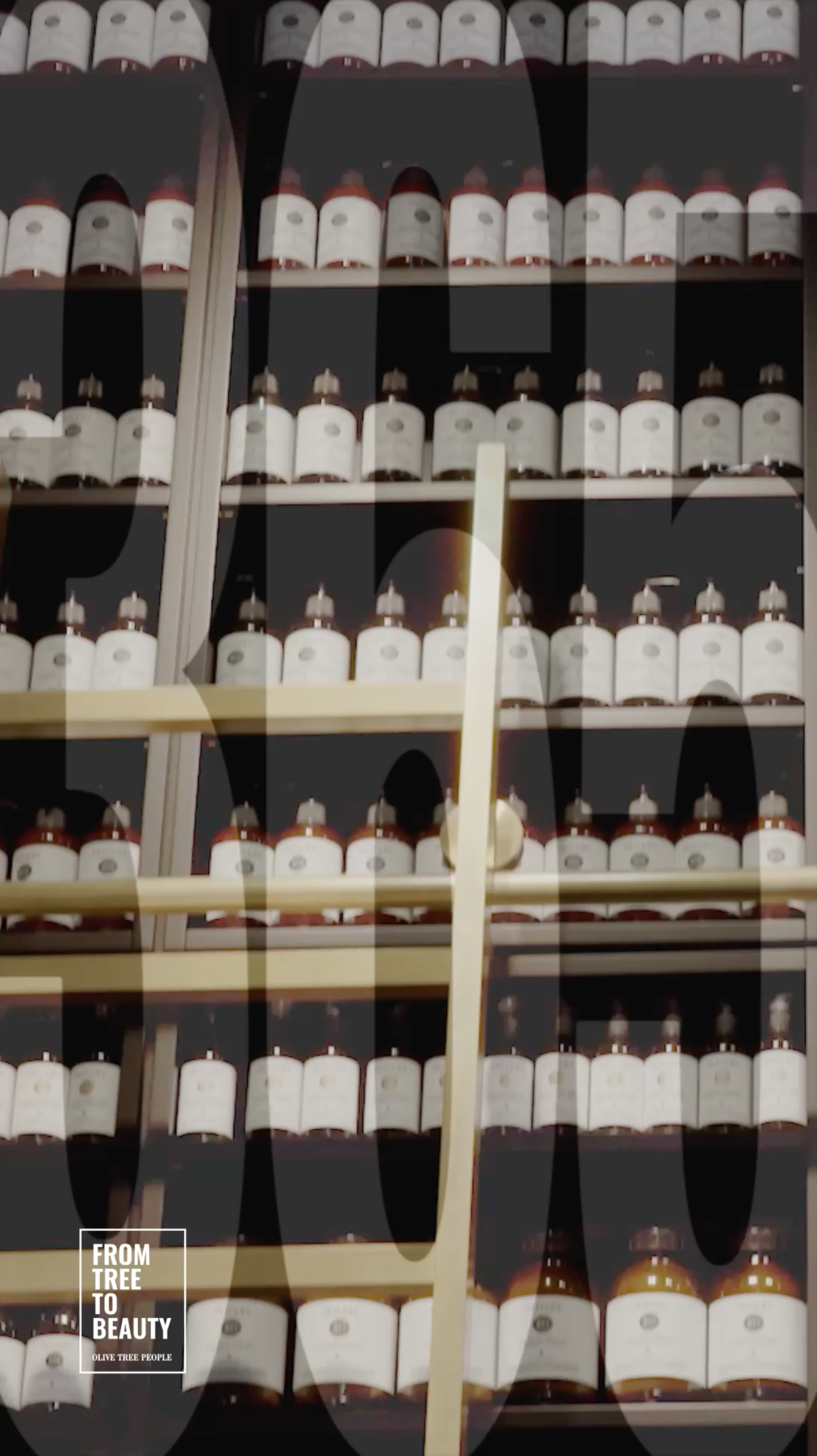 Products | Olive Tree People